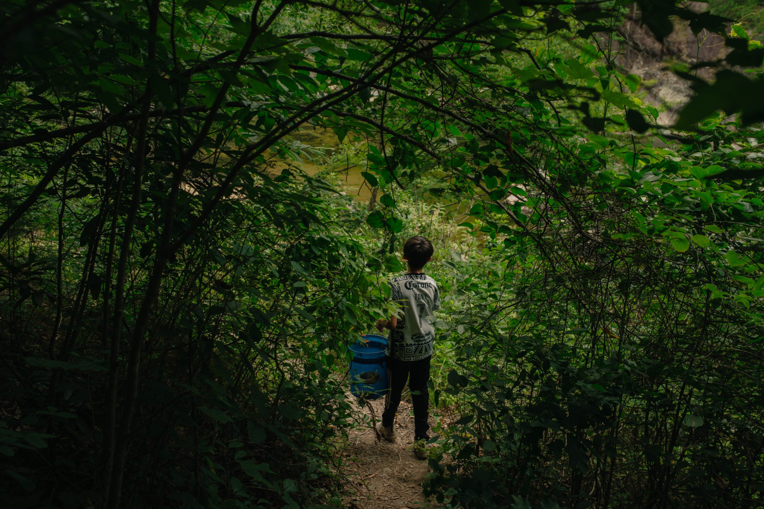 Unity in conservation, Part Two: Embracing diversity and ecology at ...